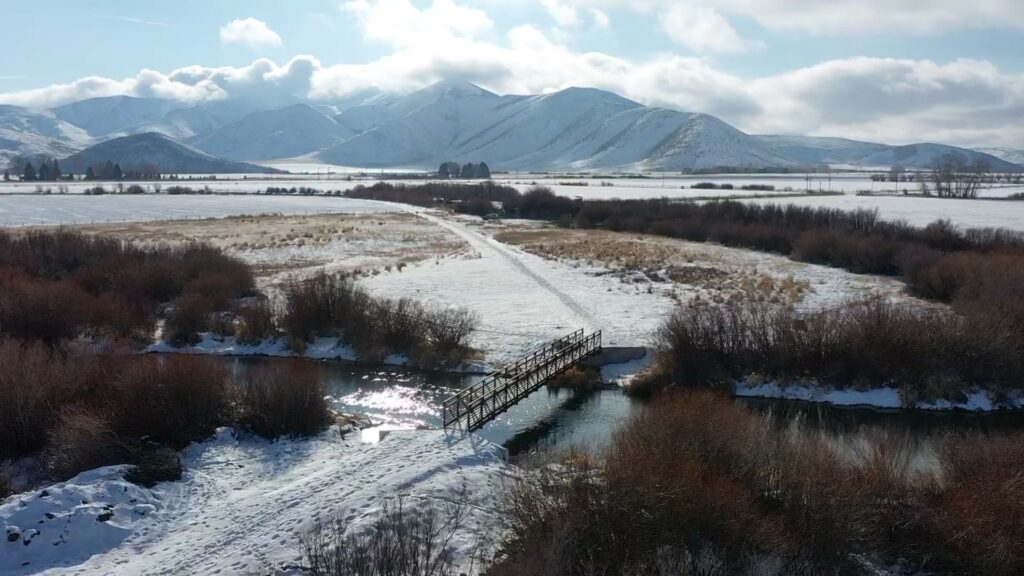 Projects Ps - TDX Power Group